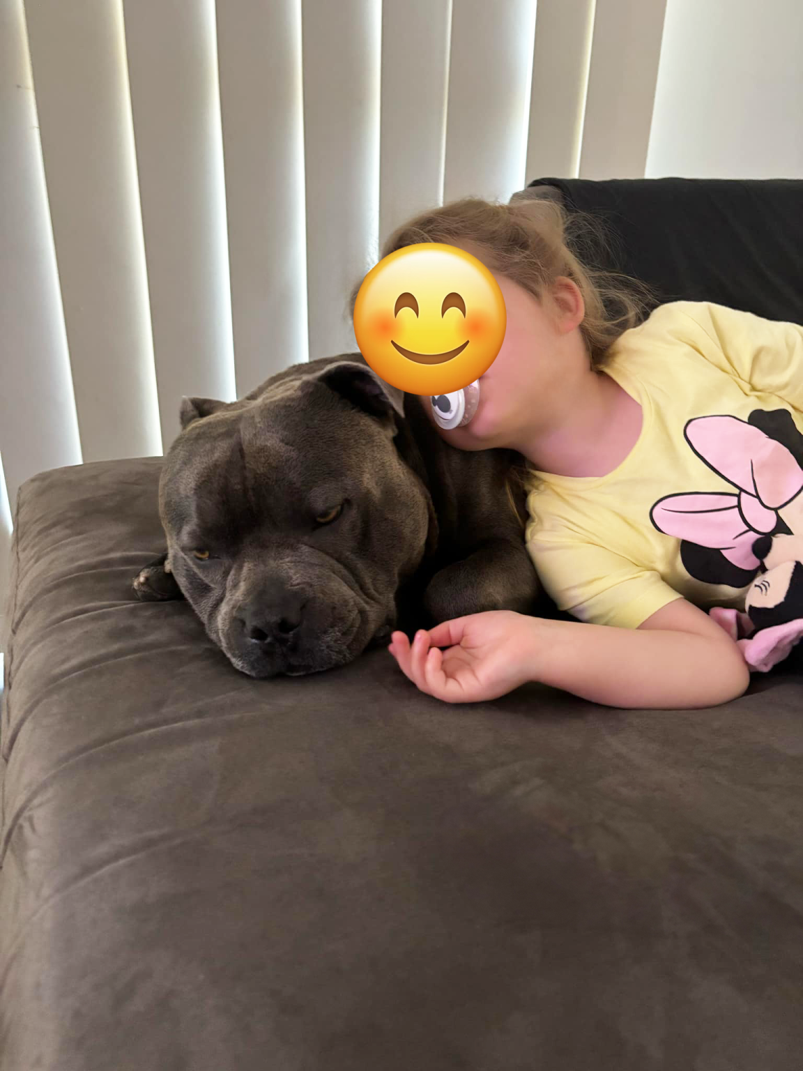 Our Grown Dogs – All Blue Staff